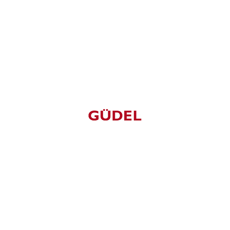 Продукция компании Gudel (Швейцария) по разумным ценам.